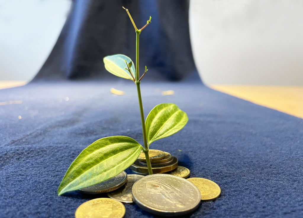 The green transition and the manager’s dilemma – Rochester-Bern